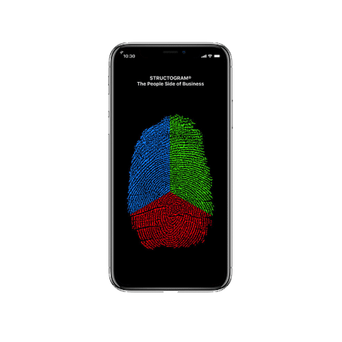 Biostruktur-Analyse und Structogram | Structogram