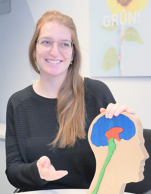 SEDOTEC Erfolgsgeschichte | Structogram