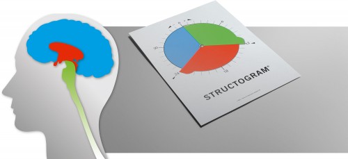 Biostruktur-Analyse und Structogram | Structogram