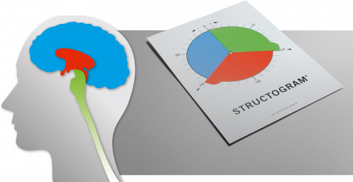 Biostruktur-Analyse und Structogram | Structogram